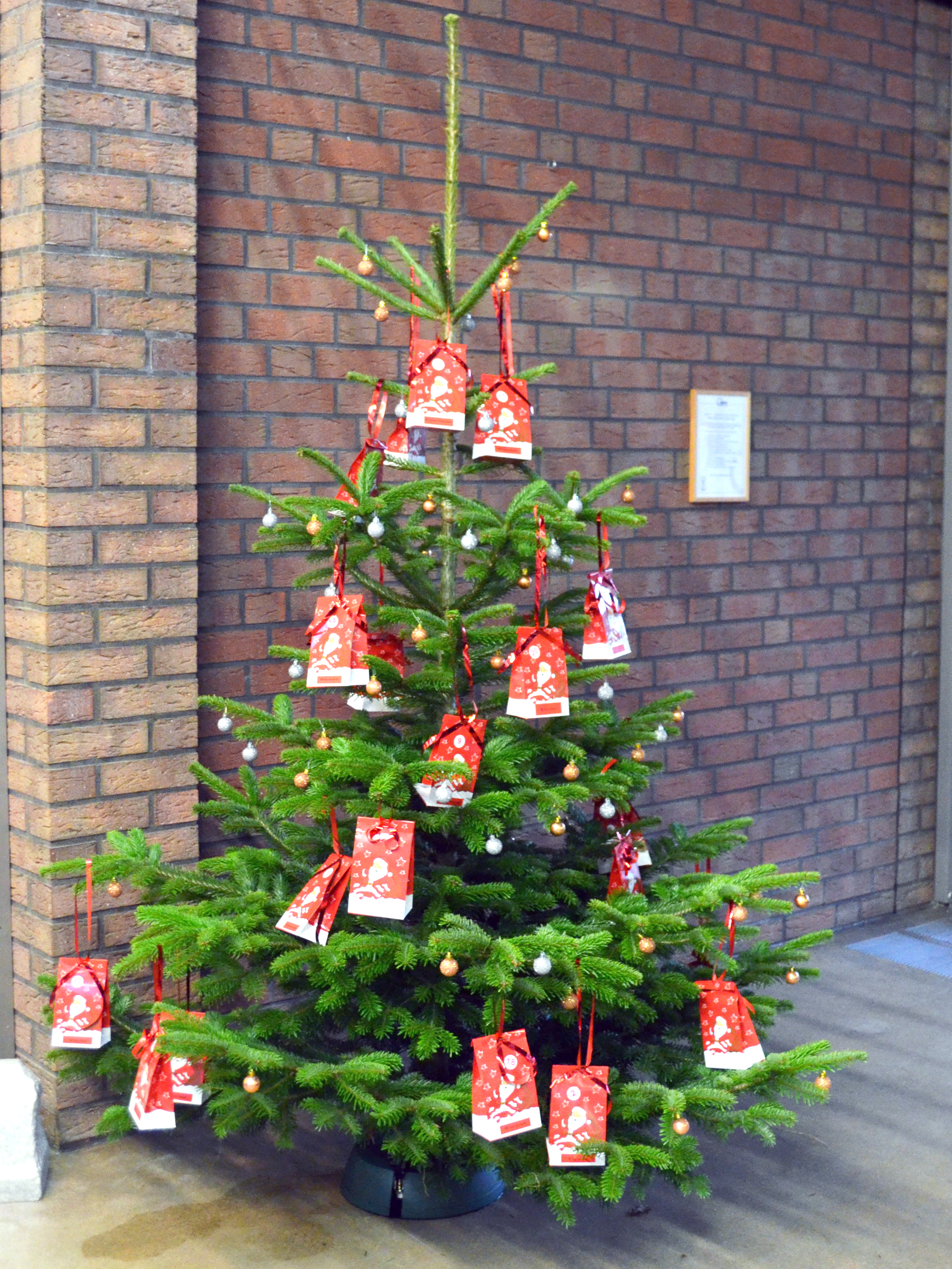 GFA - GFA Certification creates FSC standard for ecological Christmas trees