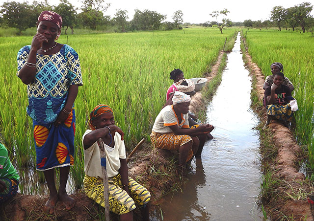 GFA - Podcast about the educational farm for demonstrating innovations ...